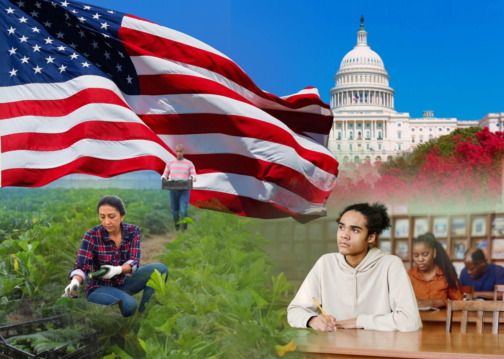 How the Hispanic Diaspora Embraces and Shapes Local Laws